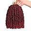 Amazon.com : Beverlee 20 Inch Butterfly Locs Crochet Hair 6 Packs Black ...