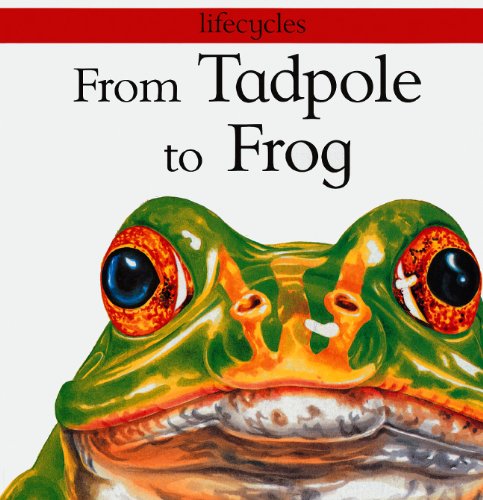 From Tadpole To Frog (Turtleback School & Library Binding Edition ...