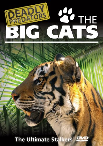 Deadly Predators The Big Cats [DVD] [2005]: Amazon.de: DVD & Blu-ray