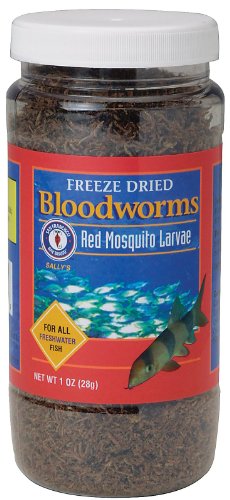 Bloodworms 101: Frozen, Live And Freeze Dried