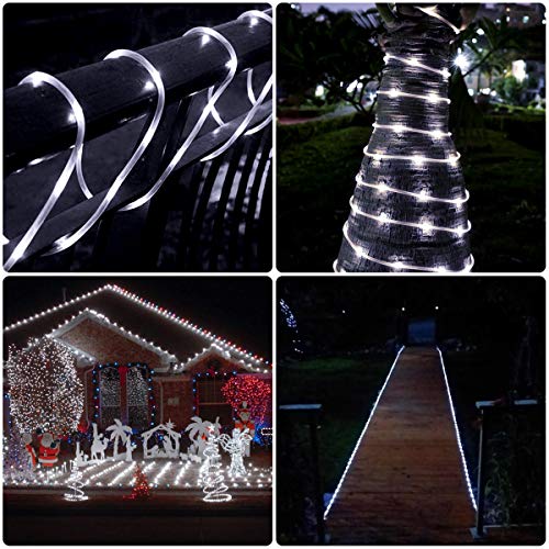 LE LED Rope Light with Timer, Low Voltage, 8 Mode, Waterproof, Daylight ...