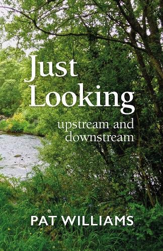 Just Looking: upstream and downstream: Williams, Pat: 9781899398140 ...