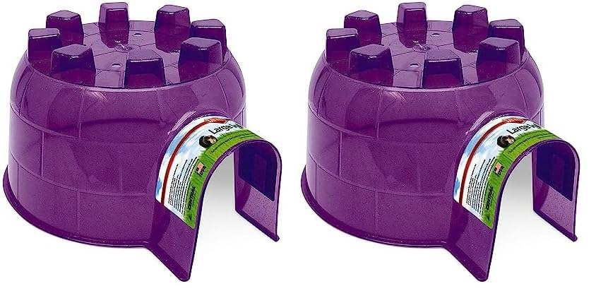 Snapklik.com : Kaytee Igloo Habitat Hideout For Pet Guinea Pigs ...
