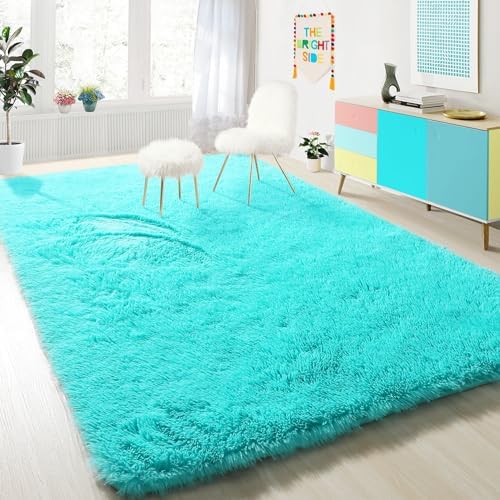 Amazon.com: Ultra Soft Fluffy Rugs for Bedroom 4x6 Feet, Shag Area Rugs ...
