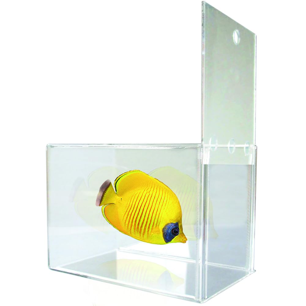 Saltwater Aquarium Fish Trap TankMatez The Holy Grail Of Fish Traps!