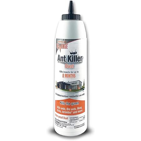 Amazon.com: TERRO T600 Ant Dust Powder Killer for Indoors and Outdoors ...