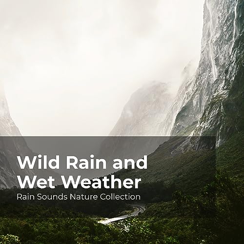 Play Wild Rain and Wet Weather by Rain Sounds Nature Collection, ASMR ...