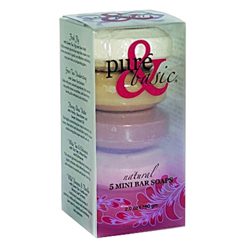 Amazon.com : Pure and Basic Natural Mini Bar Soap Set, 5 Count : Bath ...