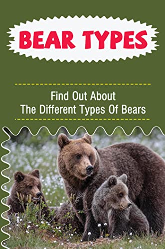 Bear Types: Find Out About The Different Types Of Bears eBook : Alberro ...
