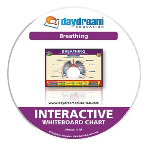 Daydream Education Breathing interactive Whiteboard Chart : Amazon.in ...