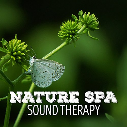 Amazon Music - Relaxing With Sounds of Nature and Spa Music Natural ...