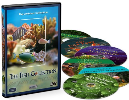 Amazon.com: Aquariums - DVD Fish Collection -6 DVDs in filmed in HD ...