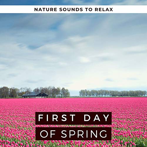 First Day of Spring 2020: Nature Sounds to Relax with Birds, Rain ...