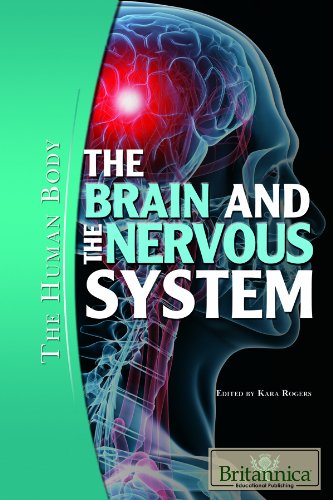 Amazon.com: The Brain and the Nervous System (The Human Body ...