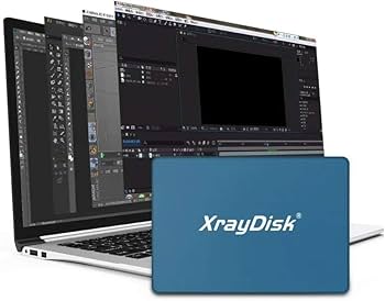 Xraydisk 480gb