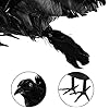 Amazon.com: Pumtus 6 Pack Realistic Crows, Halloween Handmade Feathered ...