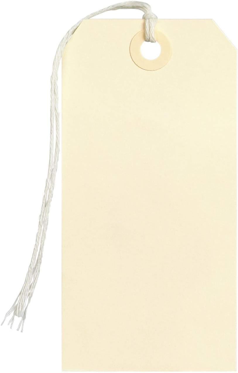 Amazon.com : Manila Shipping Tags, String Attached, Size 5, 4-3/4 x 2-3 ...