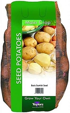 Taylors 2kg Picasso Main Crop Seed Potatoes : Amazon.co.uk: Garden