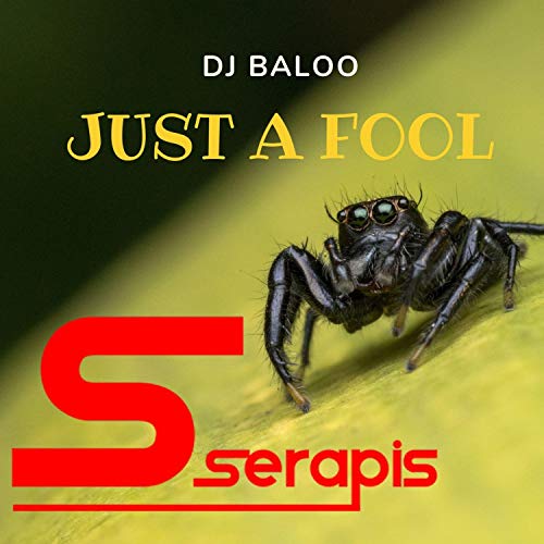 Amazon.co.jp: Just a Fool : Dj Baloo: デジタルミュージック