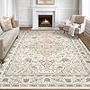 Amazon.com: 9x12 Area Rug Living Room: Washable Boho Large Neutral ...