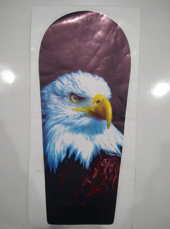 AUTONEST Eagle Vinyl Car Stickers (Blue) (Pack of 1) for Ford New ...