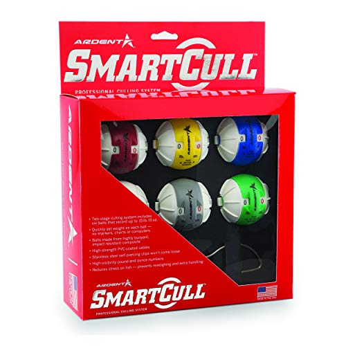 Building the Best Culling Systems for Bass Fishing ⋆ Tackle Scout