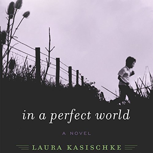 Amazon.com: In a Perfect World (Audible Audio Edition): Laura Kasischke ...
