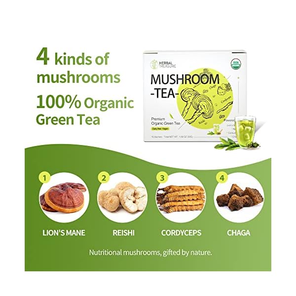 WL Herbal Treasure Mushroom Green Tea with Lions mane Reishi Cordyceps ...