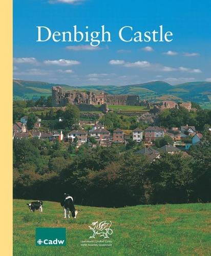 Denbigh Castle : Butler, L. A. S.: Amazon.com.be: Livres