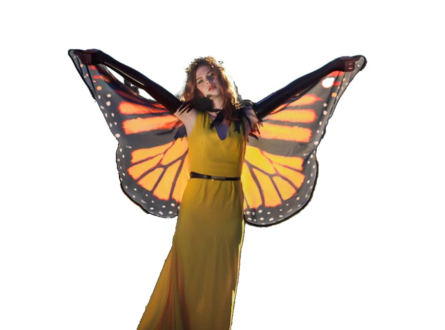 Amazon.com: Butterfly wings cloak monarch small wings : Clothing, Shoes ...