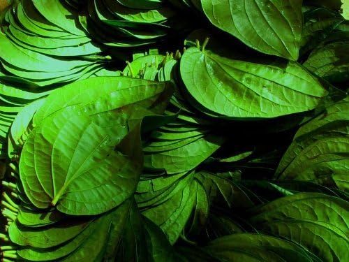 General Puja Kit Pooja Set (Pan Leaves) : Amazon.co.uk: Home & Kitchen