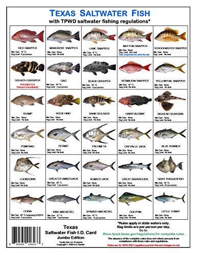 Texas Saltwater Fish Identification Card Set - Three Waterproof Cards ...
