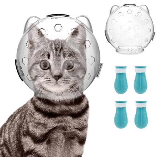 Cat Muzzle – The 15 best products compared - Wild Explained