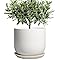 Amazon.com : SUNPOTFOR Ceramic Planter Pot - 12 Inch Large Plant Pot ...