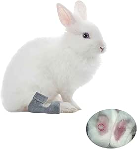 Amazon.com: 1 Pair Rabbit Socks for Sore Hocks Elbow Protective for ...