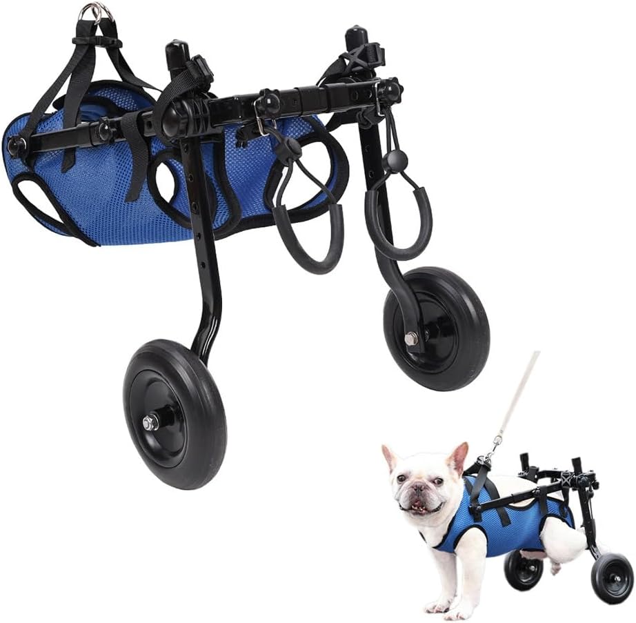 Amazon.com: VVZZL Pet Wheelchair, Adjustable Dog Hind Leg ...