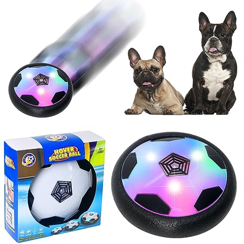 Interactive Ball for Dogs – The 15 best products compared - Wild Explained