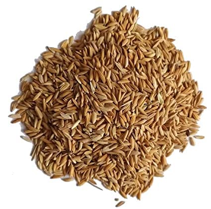 Paddy/Rice Seeds Rarest Indigenous Seeds/grains for sowing/Growing - 1KG (Mysore Mallige 1KG ...