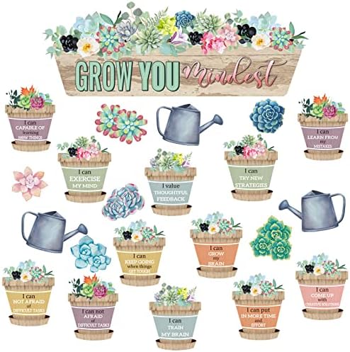 Amazon.com: 46 Pieces Rustic Bloom Grow Your Mindset Succulents ...