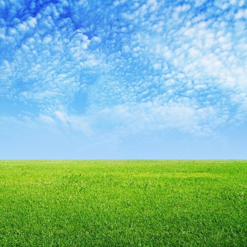 Amazon MusicでChoriumのMagrumを再生する