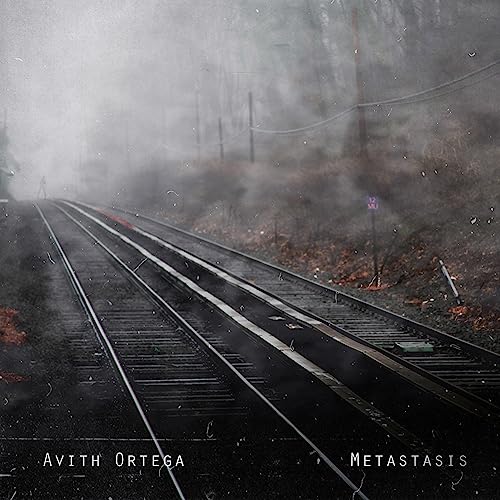 Amazon.com: Metastasis : Avith Ortega: Digital Music