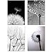Amazon.de: Poster 4er-Set PUSTEBLUMEN MONOCHROM, ungerahmt DIN A4, Kunstdruck, Poster ...