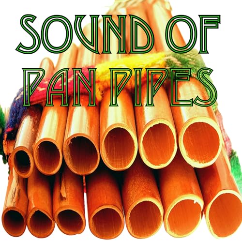 Amazon.com: Sound of Pan Pipes : Pan Pipe Orchestra: Digital Music