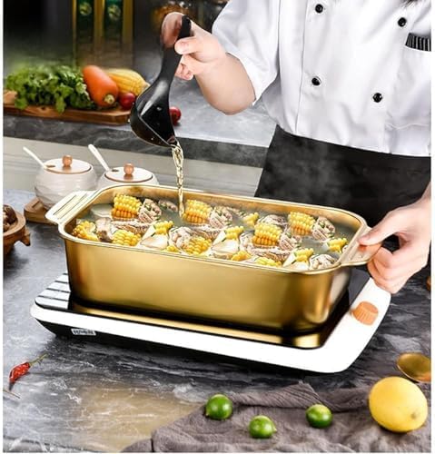 Amazon.com: Roasting Pan, Stainless Steel Rectangular Deep Roaster Pan ...