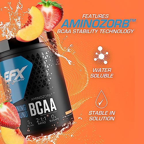 Snapklik.com : EFX Sports Training Ground BCAA Fully Stable, Highly ...