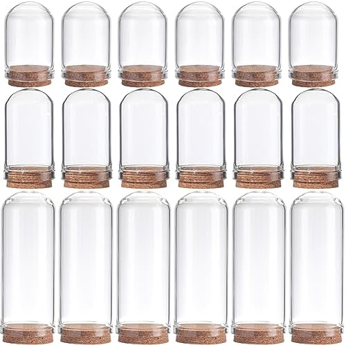 Amazon.com: SUNNYCLUE 12Pcs Cloche Bell Jar Display Case Glass Display ...