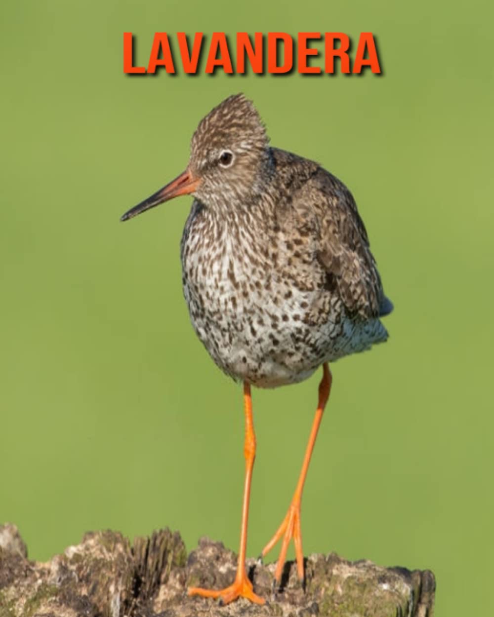 Buy Lavandera: Libro para niños con imágenes asombrosas y datos ...