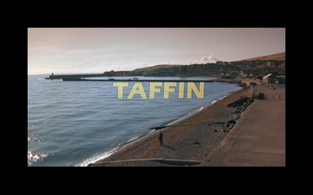 Amazon.com: Taffin : Pierce Brosnan, Ray McAnally, Alison Doody, Jeremy ...