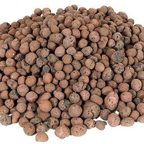 MASHKI 1 Kg Hydroton/Clay Balls/Clay Pellets 3.5 LTRS Leca : Amazon.in ...