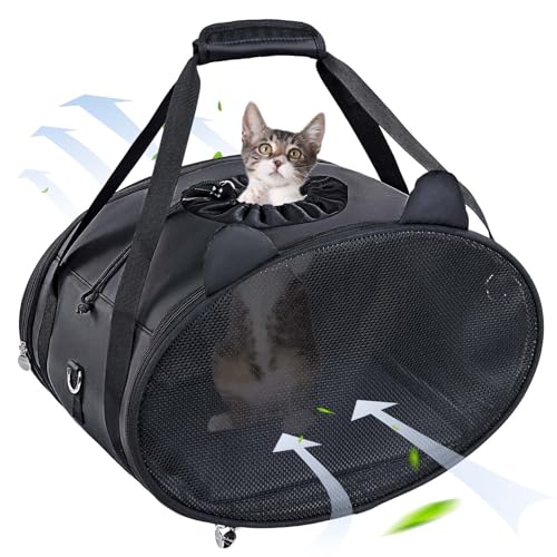 Cat Carriers – The 15 best products compared - Wild Explained